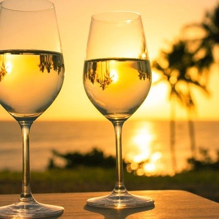 Liudmyla Pacelli Best Wine Places In Key West Do we have any wine 🍷 ...